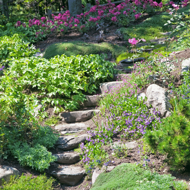 Hillside Planting - Bonner County Gardeners Association