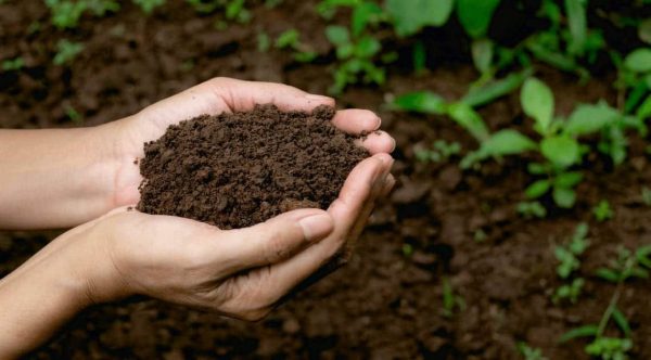 soil-quality - Bonner County Gardeners Association
