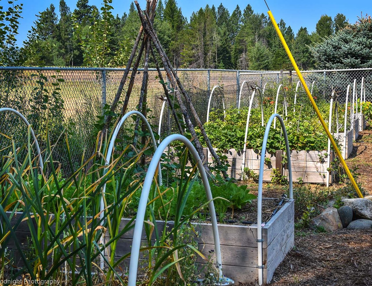 Sagle Elementary - Bonner County Gardeners Association